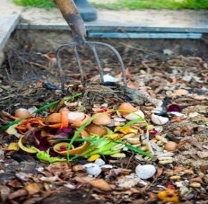 COMPOSTING 101 – North End Organic Nursery